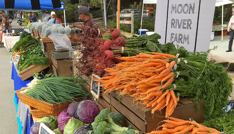 ‘Eat the Rainbow’ at Moon River Farms - North Coast Food Trail